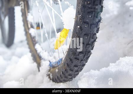 A bicycle wheel with winter spikes in the snow on a winter road Stock ...