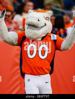 Denver Broncos mascot Miles in the second half of an NFL football game ...