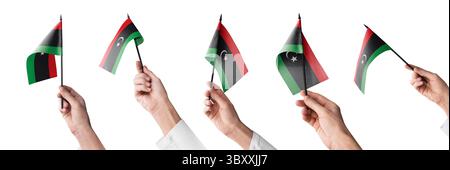 The Libya flag in hand in different angles on a white background Stock ...