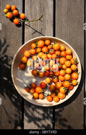 Freshly harvested tomatoes on the rustic background. Selective focus ...