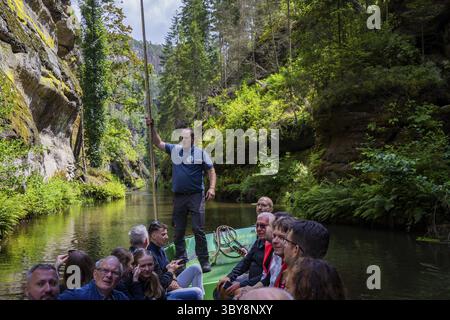 After the forest fires three years ago in Saxon-Bohemian Switzerland ...