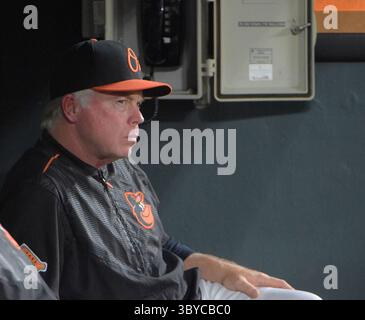 New York Mets manager Buck Showalter (11) looks on during an MLB Spring ...