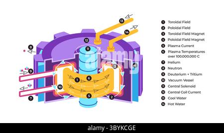 Thermonuclear fusion reactor including toroidal and poloidal fields ...