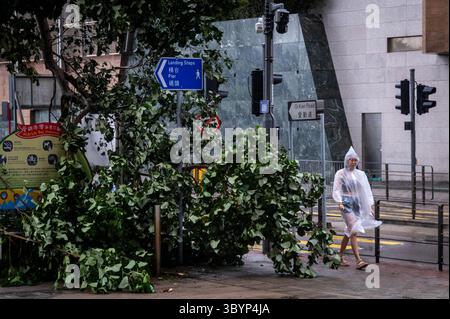 Hong Kong Typhoon Wipha A woman reacts top waves being splash on him as ...