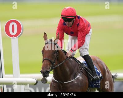 Queen Of The Bogs ridden by jockey Gary Carroll wins the seventh race ...