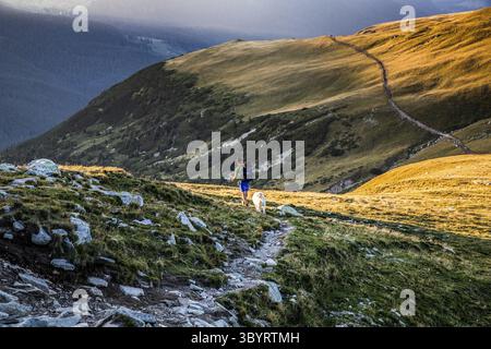 Man and dog trekking in high mountains Stock Photo - Alamy
