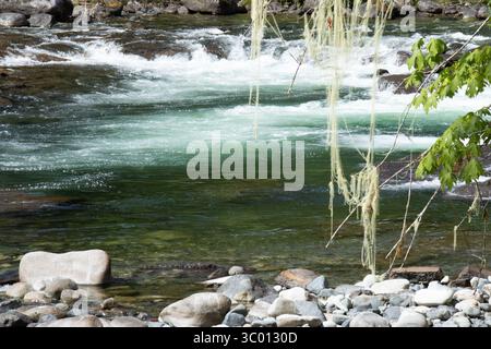 Stamp Falls, Beaver Creek, Vancouver island Stock Photo - Alamy