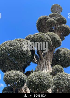 Quirky Abstract Background Stock Photo - Alamy