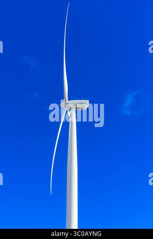Ness Point Wind Farm wind turbine Gulliver, Lowestoft, Suffolk, England ...