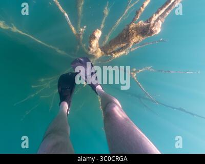 Underwater surface view of Rummu quarry in Estonia with clear turquoise ...