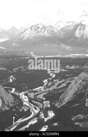 A river surrounded by dense snow covered trees Stock Photo - Alamy