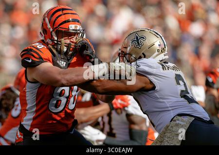 Cincinnati Bengals tight end Jordan Franks (88) during NFL football ...