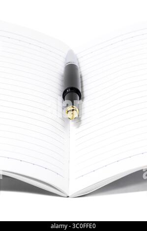 opened notebook with fountain pen on on old wooden boards painted blue ...