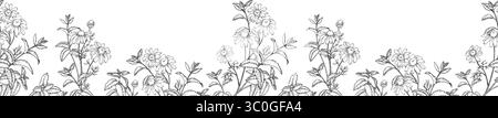 Calming herbs vector seamless border hand drawn in ink. chamomile ...