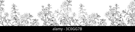 Calming herbs vector seamless border hand drawn in ink.Graphic ...