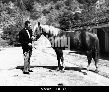 American actor Robert Taylor (Spangler Arlington Brough) nursing a ...