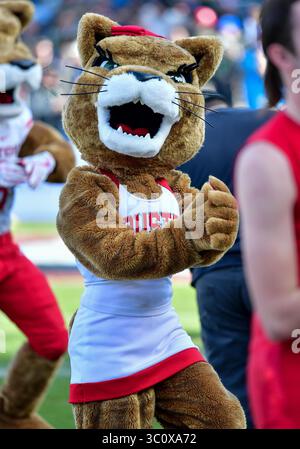Houston Cougars mascot during the Lockheed Martin Armed Forces Bowl ...