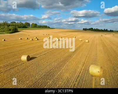 Agricultural Background of Wheatfield After Harvest and Blue Sky Stock ...