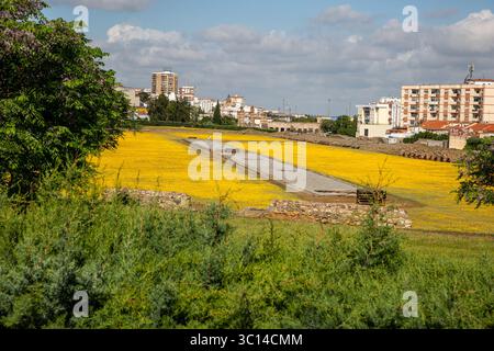 The Roman circus of Mérida is a Roman circus in the Roman colonia of ...