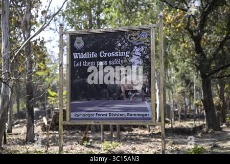 Shield Wildlife Crossing, Corbett National Park, near Ramnagar ...