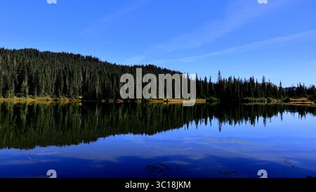Washington's mount Rainier national park Stock Photo - Alamy