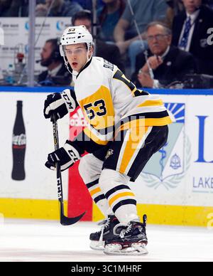 Pittsburgh Penguins' Teddy Blueger (53) plays against the Washington ...