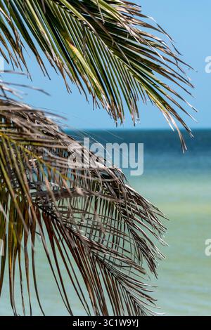 A breathtaking view of the Mexican coastline in Telchac Puerto, Yucatan ...