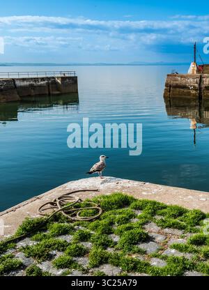The fishing harbour at Port Seton, East Lothian, Scotland Stock Photo ...
