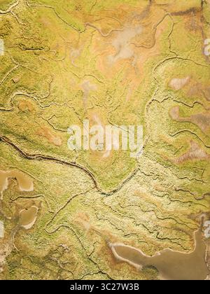 Over the wetlands of the Yellow River Delta National Nature Reserve ...