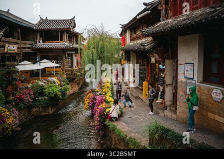 A serene walkway beside a canal is lined with tall trees under a ...