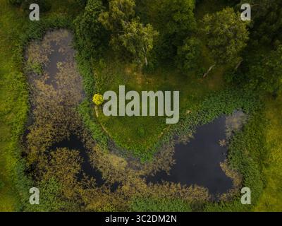 A drone shot of a lake surrounded by greenery mountains and cliffs ...