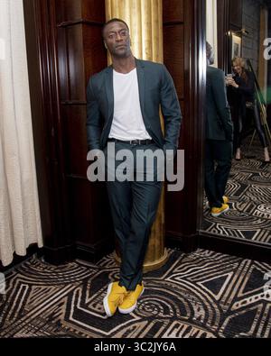 June 18, 2019, Hollywood, California, U.S.: Actor ALDIS HODGE stars in ...