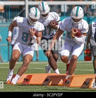 Miami Dolphins tight end Mike Gesicki (88) in action against the ...