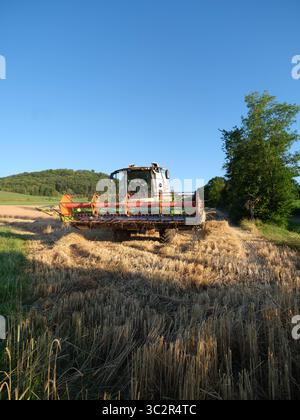 Feldarbeit GER, Deutschland, 20250724, Mähdrescher, Feld bei der ...