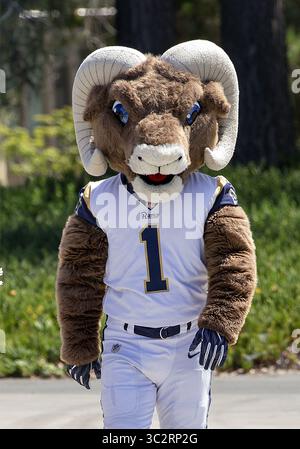Los Angeles Rams mascot Rampage cheers for the Rams against the Detroit ...
