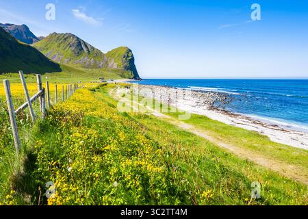 Unstad Beach in the Lofoten Islands in Norway Stock Photo - Alamy