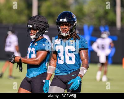 Jacksonville Jaguars running back LeQuint Allen Jr. (36) runs onto the ...