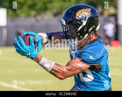 Jacksonville Jaguars running back LeQuint Allen Jr. (36) runs onto the ...