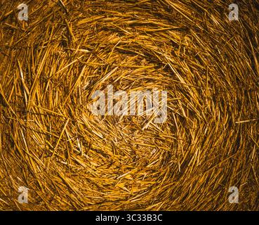 close-up of a hay cylindrical bale in a farmland /expanse of hay ...