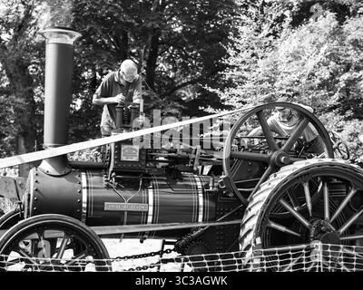 BOCONNOC STEAM FAIR 25TH JULY 2025 Stock Photo - Alamy