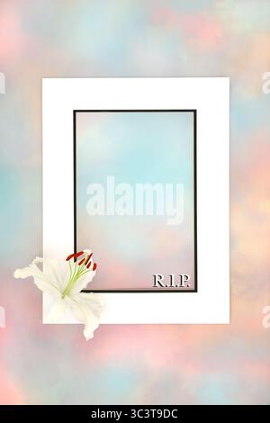 RIP in deepest sympathy memorial background with iris flower on white ...