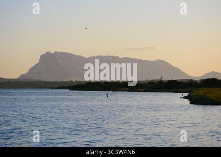 A landscape view of the bushland at sunset Stock Photo - Alamy