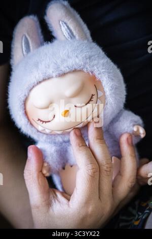 ILLUSTRATIVE - A Labubu soft toy from a blind box. Labubu dolls are a ...