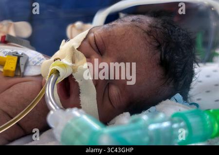 Displaced Palestinian Suad Abu al-Khair, 63, sits , cooks over a fire ...