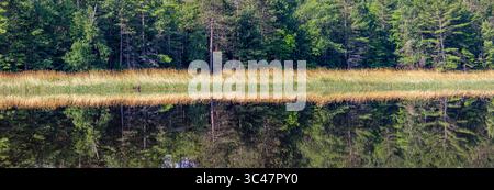 Rainbow Flowage in northern Wisconsin at the end of August with the ...