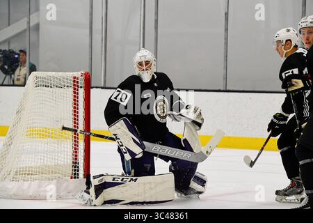 Boston Bruins' Jeremy Swayman plays during a preseason NHL hockey game ...