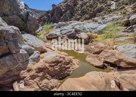 An ephemeral pool of water in the granite riverbed of the Agua Fria ...
