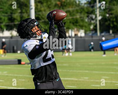 Jacksonville Jaguars safety Rayuan Lane III (25) reacts to Houston ...