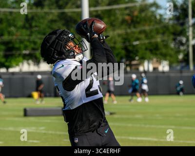 Jacksonville Jaguars safety Rayuan Lane III (25) can't hold onto Miami ...