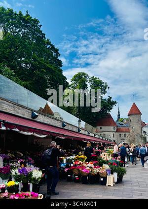 The colorful flower market outside Viru Gate in the old city of Tallinn ...
